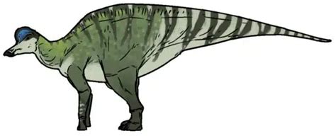 Hypacrosaurus A Tall Duckbill Dinosaur From The Late Cretaceous