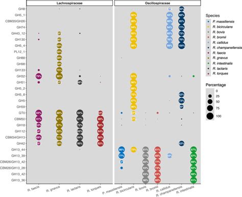 Genomic Features And Prevalence Of Ruminococcus Species In Humans Are