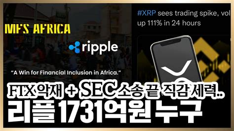 리플 3억5천개 Xrp1731억원 이체 호재다 Ftx 악재 끝 Sec 소송 종료 모두 직감한 세력 누구” 리플 비트코인 이더리움 Youtube