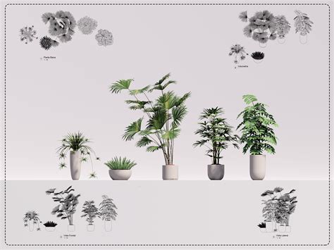 Revit Recess Revit Planting Rpc Source Files Plants