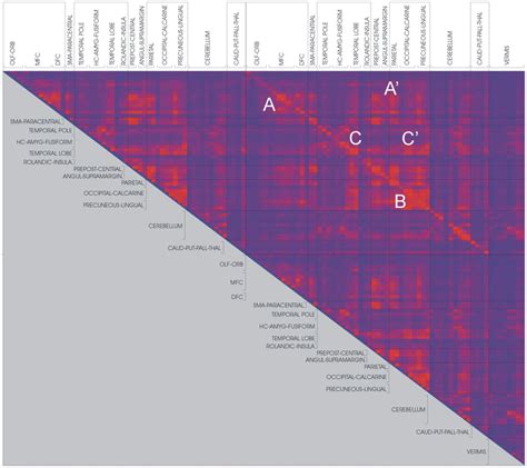 Synchronization Matrix Of Control Group See Legend Of Figure 1