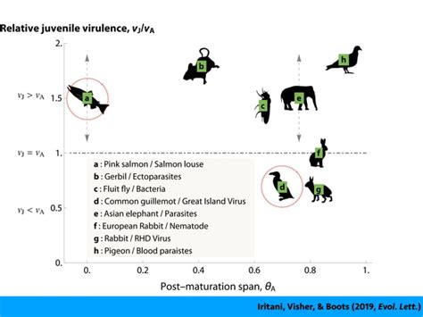 The Evolution Of Stage Specific Virulence Ppt