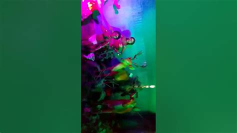 Idpl Exhibition Trending Youtubepartner Youtube