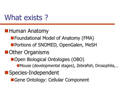 Towards A Computational Paradigm For Biological Structure Ppt Download