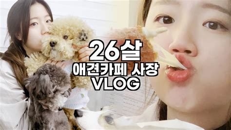 26살 애견카페 사장 브이로그 애견유치원 일상 최애 강아지 프렌치불독 핫도그 먹방 총체적 난국 Youtube