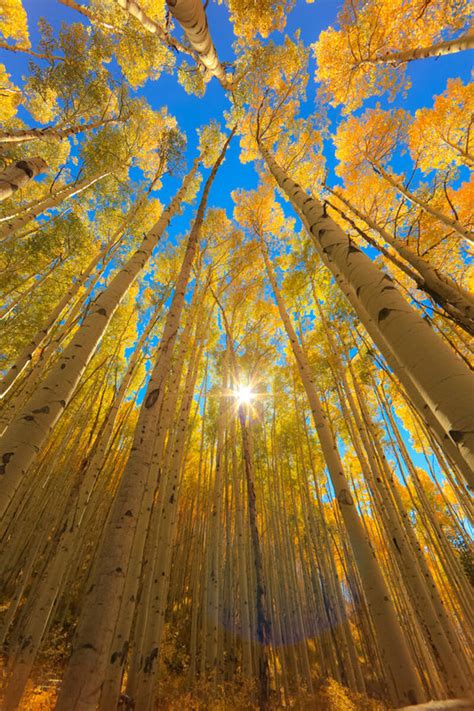 Aspen Photos Aspen Photography Aspen Snow Photos