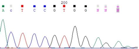 Problem With Sequencing Of Plasmid After Mutagenesis Researchgate