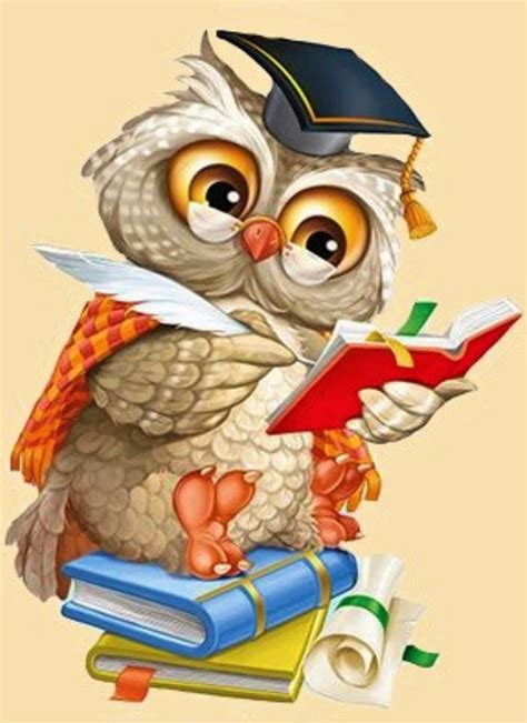 Мудрая сова картинки 65 фото