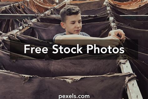 Hide Processing Photos Download The Best Free Hide Processing Stock