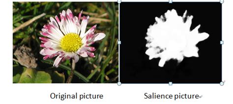 Python Use Grabcut Algorithm To Separate The Saliency Areas Stack Overflow
