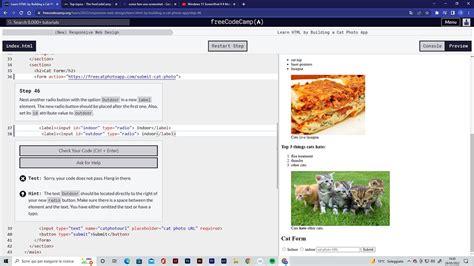 What Wrong In The 46 Html Css The Freecodecamp Forum