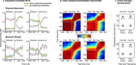 Decoding The Contents Of Conscious Perception From Simultaneously Download Scientific Diagram