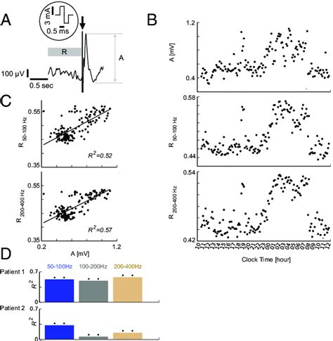 Intrinsic Measures Of Synchronization Correlate With The Size Of