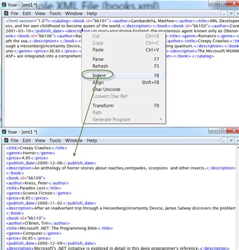 Sitecore Import Tool Firstobject Xml エディター