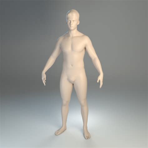 D Human Rigging Ready