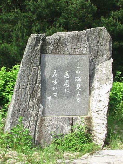 知恵の輪 句碑山口誓子この櫻