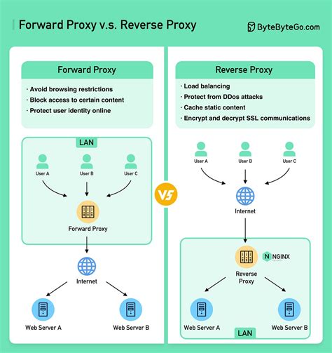 The Power Of Proxies How Reverse Proxies And Load Balancers Transform