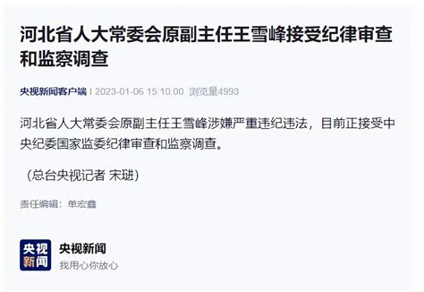 河北省人大常委会原副主任王雪峰被查新闻监察审查