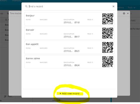 Can No Longer Find Add New Record Button That Was Previously There