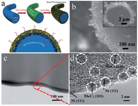 A Schematics Of The Formation Of The Metal Based Download Scientific Diagram
