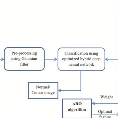 Pdf Brain Tumor Segmentation And Classification Using Optimized Deep Learning