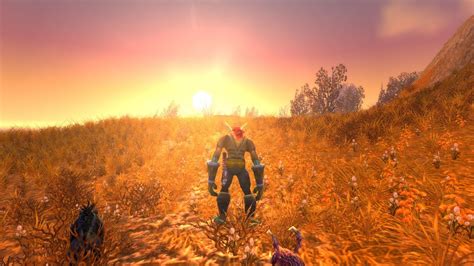 Wow Classic Hc Überlebensratgeber Mit Vielen Tipps