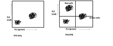Spectral Overlap Flow Core Syracuse University
