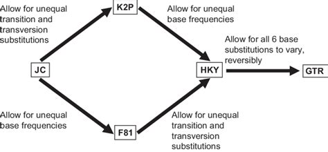 Comparison Between Some Of The More Well Known Evolutionary Models Download Scientific Diagram