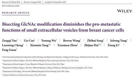 西北大学关锋团队揭示糖基化修饰抑制乳腺肿瘤细胞外囊泡的生物学功能 外泌体资讯网