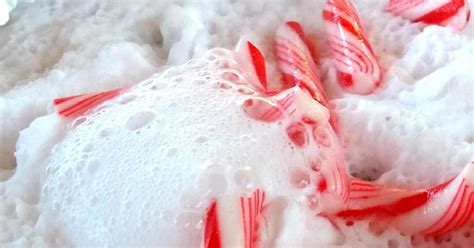 Christmas Science Experiment Fizzing Candy Cane Eruptions Preschool