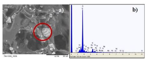 The Material Structure A Of Achieved SiC SiO Composites And The EDS Download Scientific