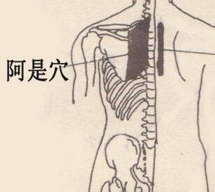 赴日讲授医学 中华中医文化事迹 国医小镇