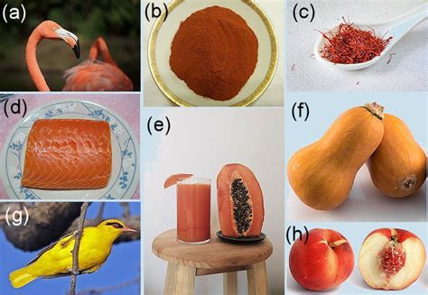 Astaxanthin Molecule Of The Month June 2021 Jsmol Version