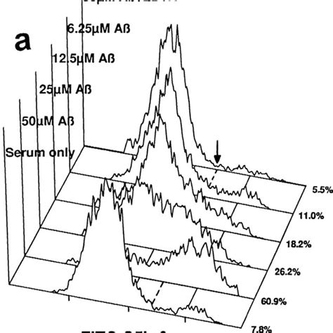 C5b 9 Generated By Aβ 1 42 Mediated Complement Activation Is Download Scientific Diagram