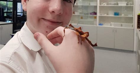 Beaumaris Secondary College Newsletter Issue 3