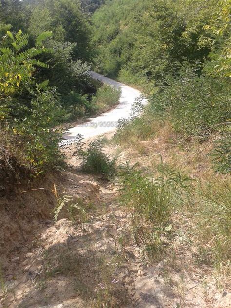 Земеделска земя Земеделка земя 5000 кв м Парцели Терени под наем Село Бърдени Трявна