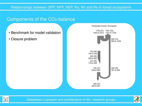 Ppt Relationships Between Gpp Npp Nep Ra Rh And Re In Forest Ecosystems Sebastiaan