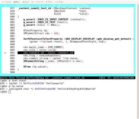 cannot input some characters with xim · issue 2422 · ibus ibus · github