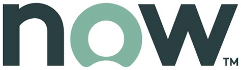 What Is Servicenow Spm Insource Inc