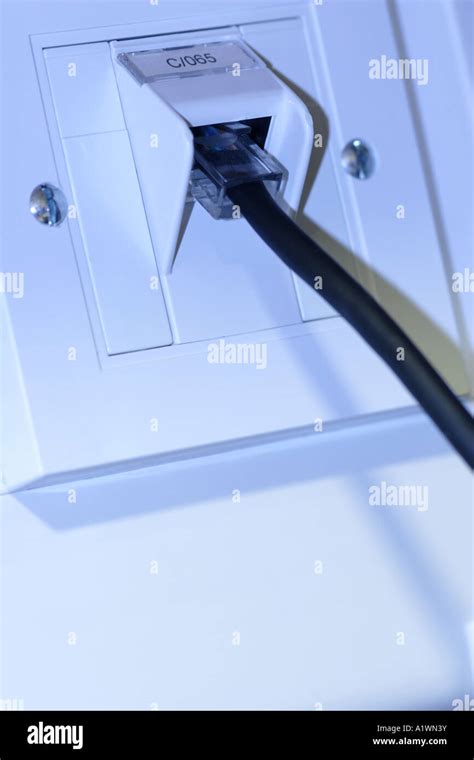 Ethernet Cable To Socket At Gwen Mayer Blog