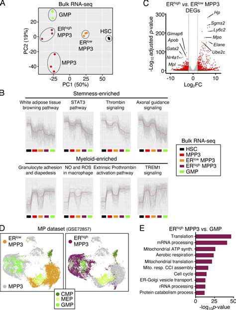 Molecular Characterization Of Mpp3 Subsets A Principal Component
