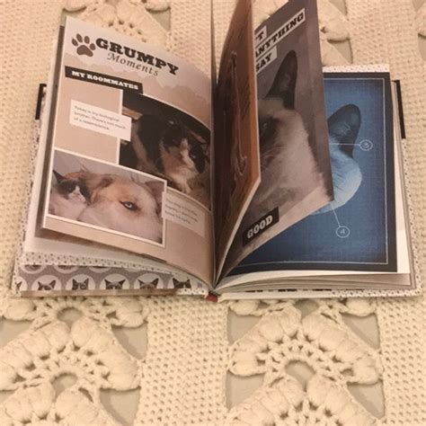 Vintage Accents Grumpy Cat Hardcover Book Poshmark