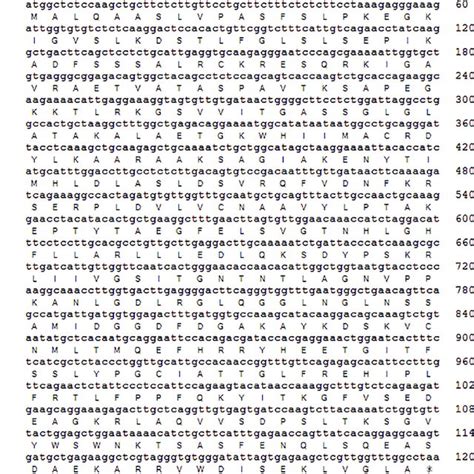 Figure Of Vrpr Gene Orf Sequence And Its Encoding Proteins Note The Download Scientific