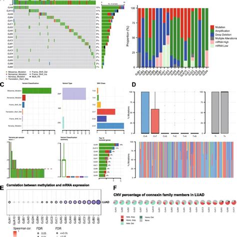 Mutation Profile Analysis Of Cx By Using The Tcga Datasets A Oncoplot Download Scientific