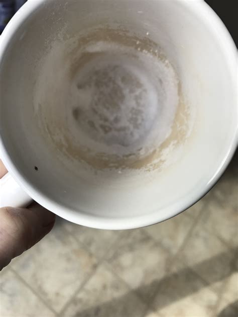 Remove Tea Stains From Mugs Clover And Thyme