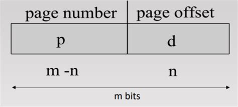 Memory Flashcards Quizlet