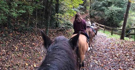 Horseback Riding In Pigeon Forge Big Rock Dude Ranch