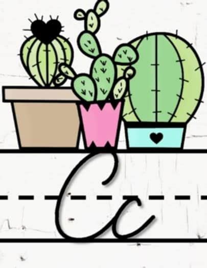 Plant Cactus Decor Cursive Alphabet Classroom Posters Tpt