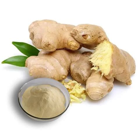 Ginger Extract Manufacturers Ginger Extract Suppliers And Exporters