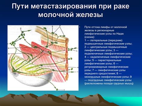 Рак молочной железы Online Presentation